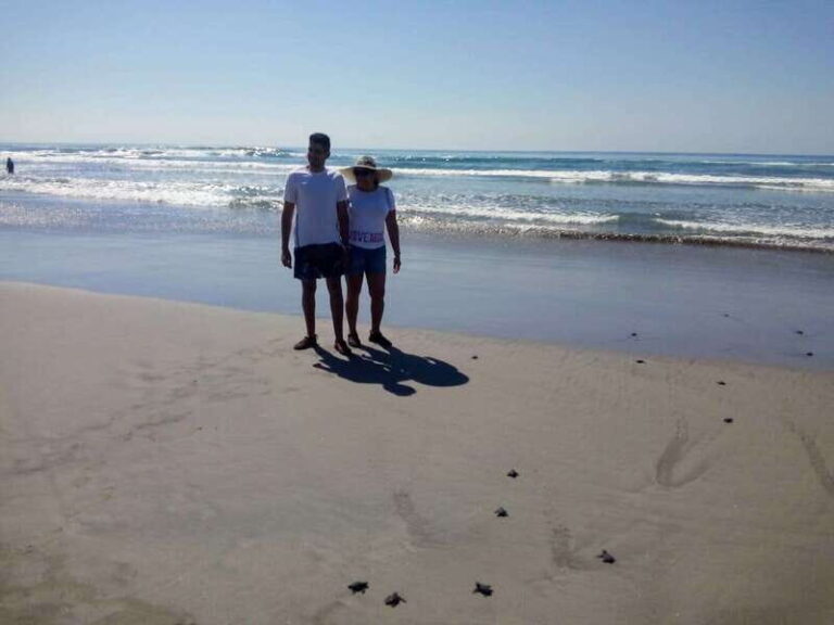 .6Hr Tour Diving Show Baby Turtle Release & All Attractions - The Experience: What to Expect