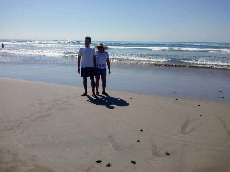 .6Hr Tour Diving Show Baby Turtle Release & All Attractions - The Experience: What to Expect