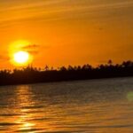 7 Day Catamaran Cruise - Explore the Leeward Islands - What to Expect from the Experience