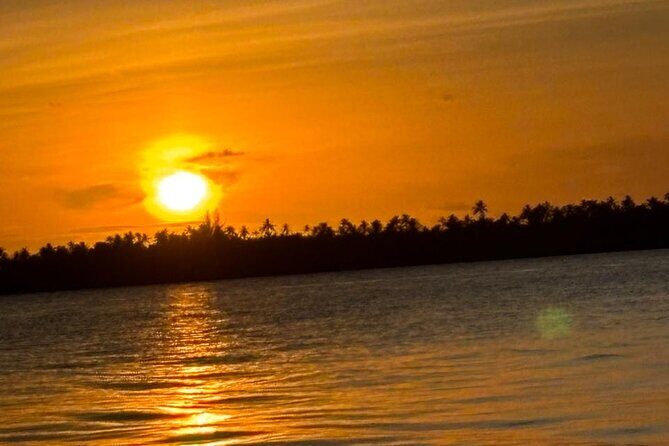 7 Day Catamaran Cruise - Explore the Leeward Islands - What to Expect from the Experience