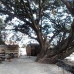 7 day circuit west: México, San Miguel, Guadalajara, Morelia - Practical Considerations and Price Analysis