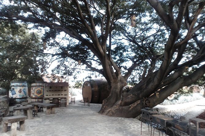 7 day circuit west: México, San Miguel, Guadalajara, Morelia - Practical Considerations and Price Analysis