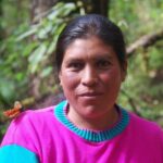 7 Day-Monarch Butterfly Ecofriendly Tour in Mexico - An In-Depth Look at the Tour