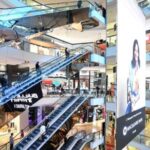 7 Wonders of Sydney East/CBD Luxury Private Tour - What’s Included and What’s Not