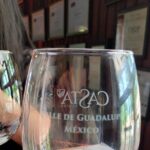 8 Hour Private Tour in the Guadalupe Valley 1-4 Passengers - Transport and Service Quality