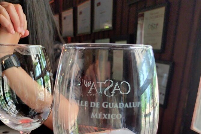 8 Hour Private Tour in the Guadalupe Valley 1-4 Passengers - Transport and Service Quality