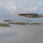 90 Minute Airboat Tour in the Florida Everglades - Who Should Book This Tour?