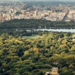 A Scenic Walking in Tour Central Park - What to Expect and Why It Matters