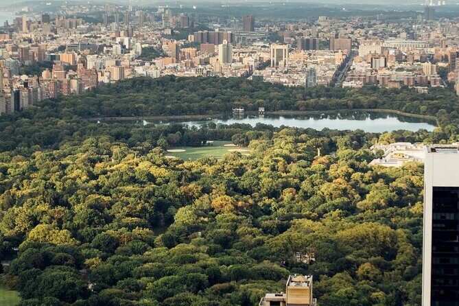 A Scenic Walking in Tour Central Park - What to Expect and Why It Matters