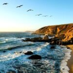 A Self-Guided Audio Tour Around Bodega Head - The Experience: What You Can Expect