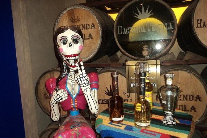 A taste of Los Cabos. A San Jose and Cabo San Lucas City Tour - The Practicalities and Value