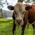 A Taste Of Norfolk - Transportation and Group Size