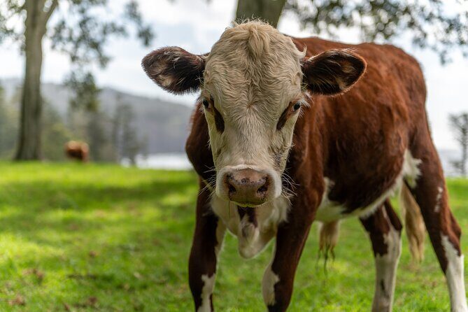 A Taste Of Norfolk - Transportation and Group Size