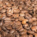 A Taste of Wellington: Wellington Foodie Delights Tour - Final Thoughts