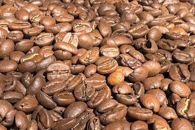 A Taste of Wellington: Wellington Foodie Delights Tour - Final Thoughts