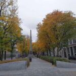 A Walking Tour of Old Montreal - The Highlights: What You’ll See and Experience