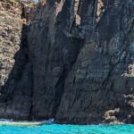 AAA Noosa National Park Tour and Dolphin Safari Whalesongsnoosa - Itinerary Breakdown: What to Expect