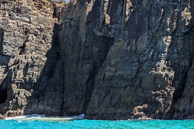 AAA Noosa National Park Tour and Dolphin Safari Whalesongsnoosa - Itinerary Breakdown: What to Expect