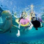 ABC Reef Safaris - Diving into the Itinerary