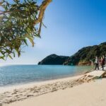 Abel Tasman Heli-Hike - A Deep Dive into the Abel Tasman Heli-Hike Experience