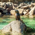 Abel Tasman National Park: Cruise and Hike Full-Day Tour - What Makes This Tour Stand Out?