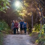 Abel Tasman National Park: Helicopter Flight with landing - Experience Overview: Flight and Landing at Awaroa Bay