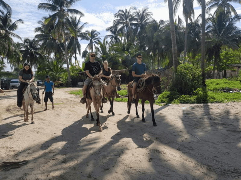 Acapulco: Bonfil Beach Horseback Riding Experience - The Highlights and Unique Details