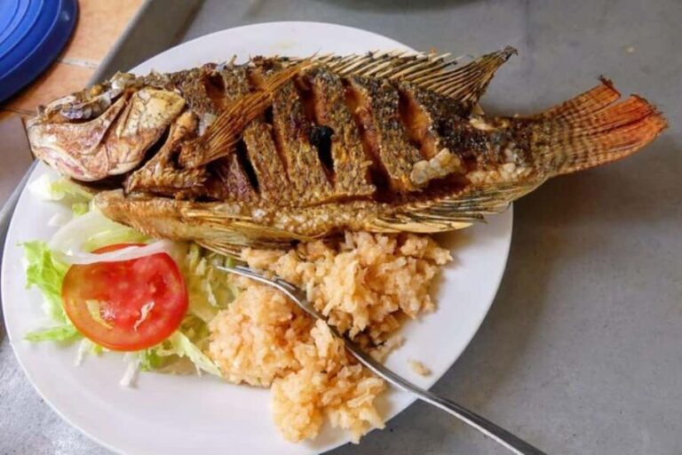 -Acapulco: Coyuca Lagoon Boat Ride &Baby Turtle Release Tour - Who Will Love This Tour?