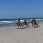 -Acapulco: Horseback Ride Exp. Crocodile Farm, and City Tour - Exploring the Itinerary in Detail