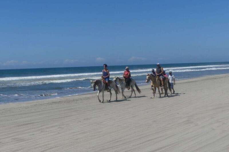 -Acapulco: Horseback Ride Exp. Crocodile Farm, and City Tour - Exploring the Itinerary in Detail