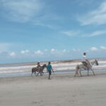 Acapulco: Horseback Riding, Turtle Camp, and Crocodile Tour - Detailed Breakdown of the Itinerary