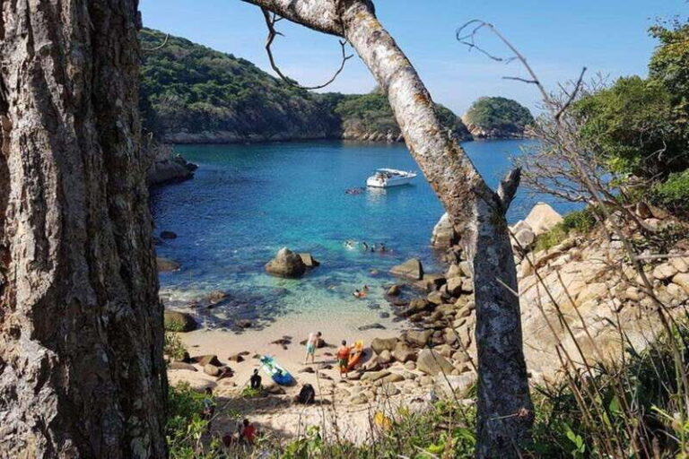 -Acapulco: La Roqueta Island Hiking and Snorkeling Tour - What Makes This Tour a Great Value?
