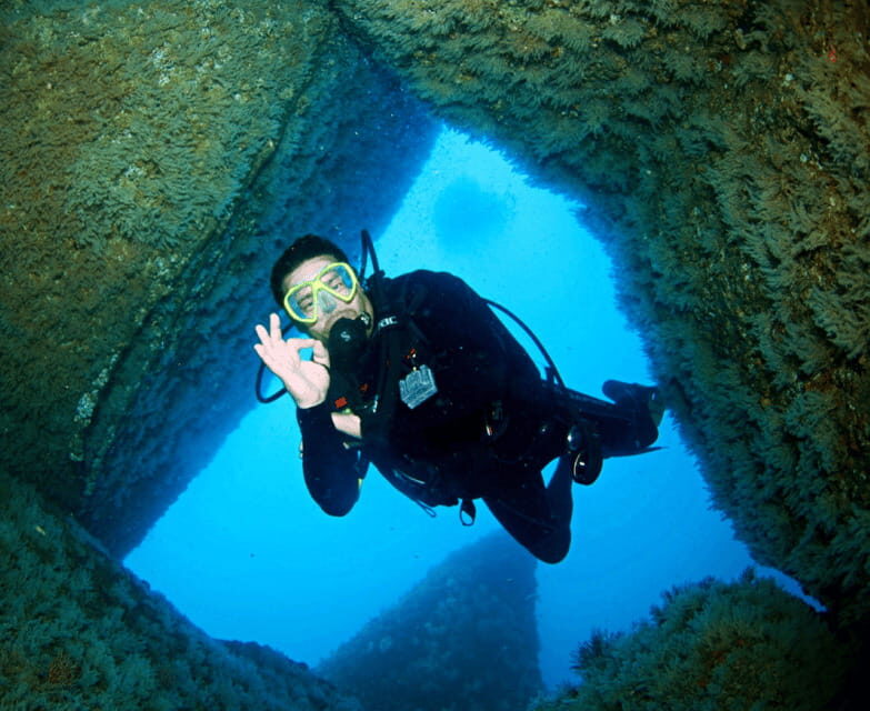 Acapulco: Scuba Diving in Roqueta Island - Why Choose This Tour?