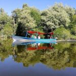 -Acapulco:Turtle Release Crocodile Farm & Horseback Ride Exp - Why This Tour Represents Good Value