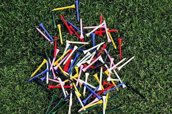 Active 1 Hour Private Professional Golf Tour in Streamsong - Final Thoughts: Is It Worth It?