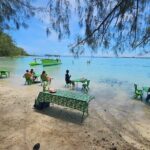 Activity/Excursion Lagoon Tour to Moorea by Canoe 6 hours - Dining and Cultural Experiences