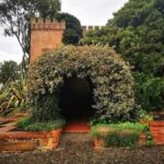 Adelaide: Barossa Private Wine Tour + Your Chosen Tastings - An In-depth Look at the Experience