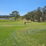 Adelaide City Full-Day Tour - What Reviewers Say