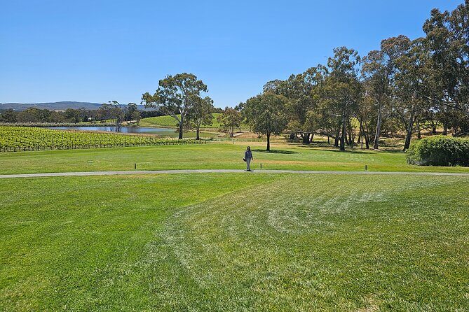 Adelaide City Full-Day Tour - What Reviewers Say