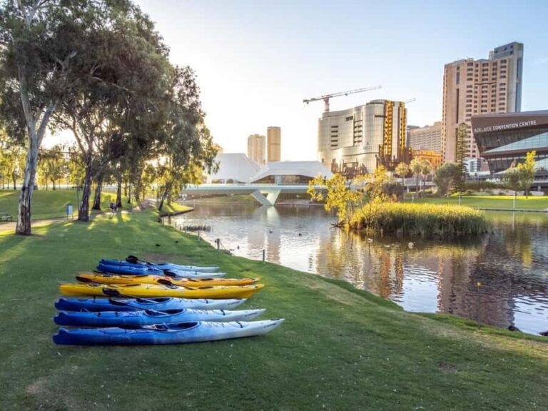 Adelaide: City Kayaking Experience - Why Choose This Tour?