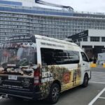 Adelaide Cruise Ship Private Tours - Who Is This Tour Best For?
