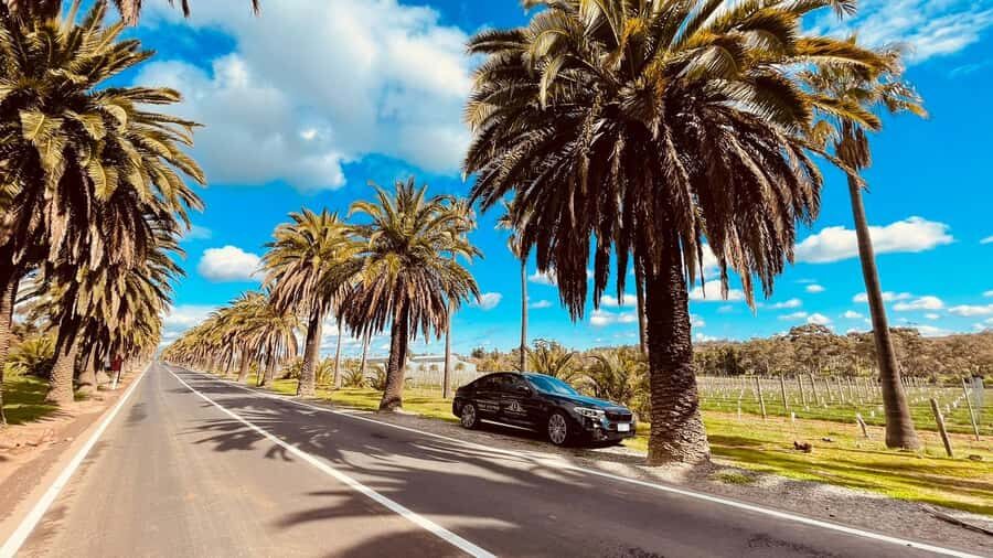 Adelaide Cruise Ship Tours - An In-Depth Look at Adelaide Cruise Ship Tours