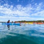 Adelaide Dolphin Sanctuary and Ships Graveyard Kayak Tour - The Sum Up