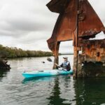 Adelaide: Dolphin Sanctuary Eco Kayaking Tour - What to Expect from the Tour