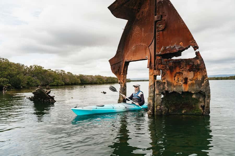 Adelaide: Dolphin Sanctuary Eco Kayaking Tour - What to Expect from the Tour