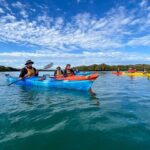 Adelaide Dolphin Sanctuary Mangroves Kayaking Tour - Who Is This Tour For?