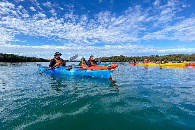 Adelaide Dolphin Sanctuary Mangroves Kayaking Tour - Who Is This Tour For?