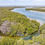 Adelaide: Dolphin Sanctuary Single or Double Kayak Rental - The Experience: What to Expect from the Kayaking Adventure