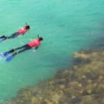 Adelaide: Fleurieu Snorkel & Beer Safari - What Travelers Say