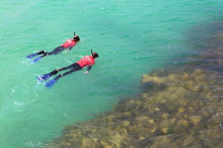 Adelaide: Fleurieu Snorkel & Beer Safari - What Travelers Say